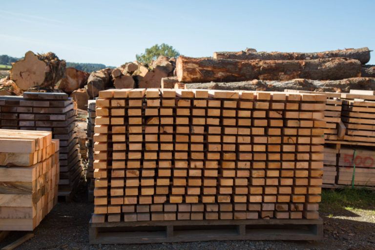 Radiata (Pine) - Pankhurst Sawmilling | Southland & Otago