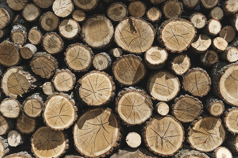 Firewood Otago